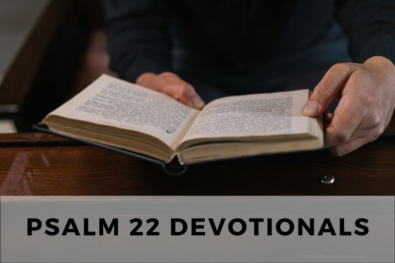 Psalm 22 Devotionals: Crying Out in Deep Despair - DEVOTIONALS FOR TODAY