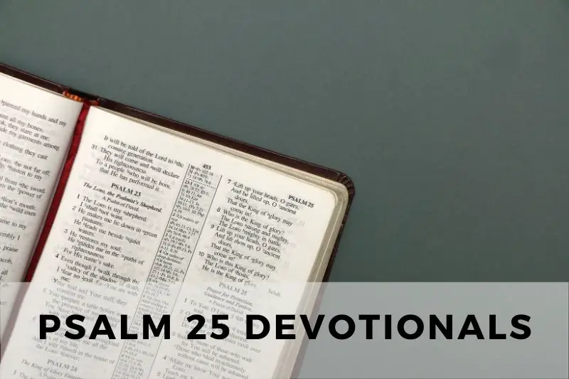 Psalm 25 Devotionals: Seeking God’s Guidance in Trouble - DEVOTIONALS FOR TODAY