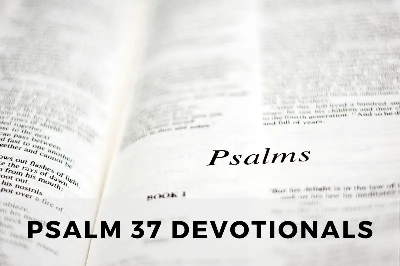 Psalm 37 Devotionals: Trusting God in Times of Evil - DEVOTIONALS FOR TODAY