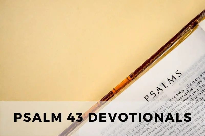 Psalm 43 Devotionals: Seeking God’s Light and Truth - DEVOTIONALS FOR TODAY