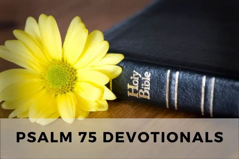 Psalm 75 Devotionals: Thanking God for His Justice - DEVOTIONALS FOR TODAY